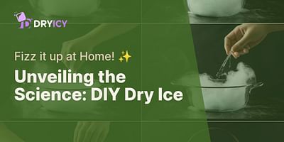 What is the Difference Between Dry Ice and Wet Ice?